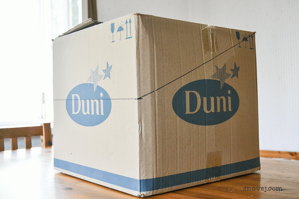 Cardboard Tombstones for Halloween | Snovej Food & Craft Adventures